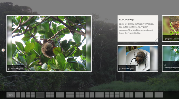 Project Platform For Schools and Students | Codex