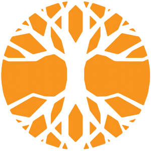 Codex Team | Codex Galleries