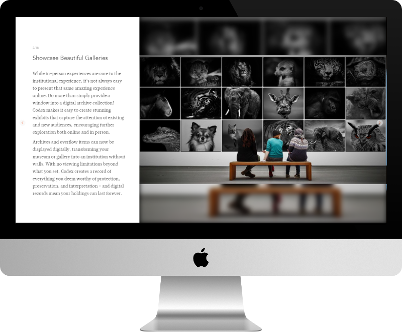 Online Gallery & Storytelling Platform | Build A Gallery | Codex