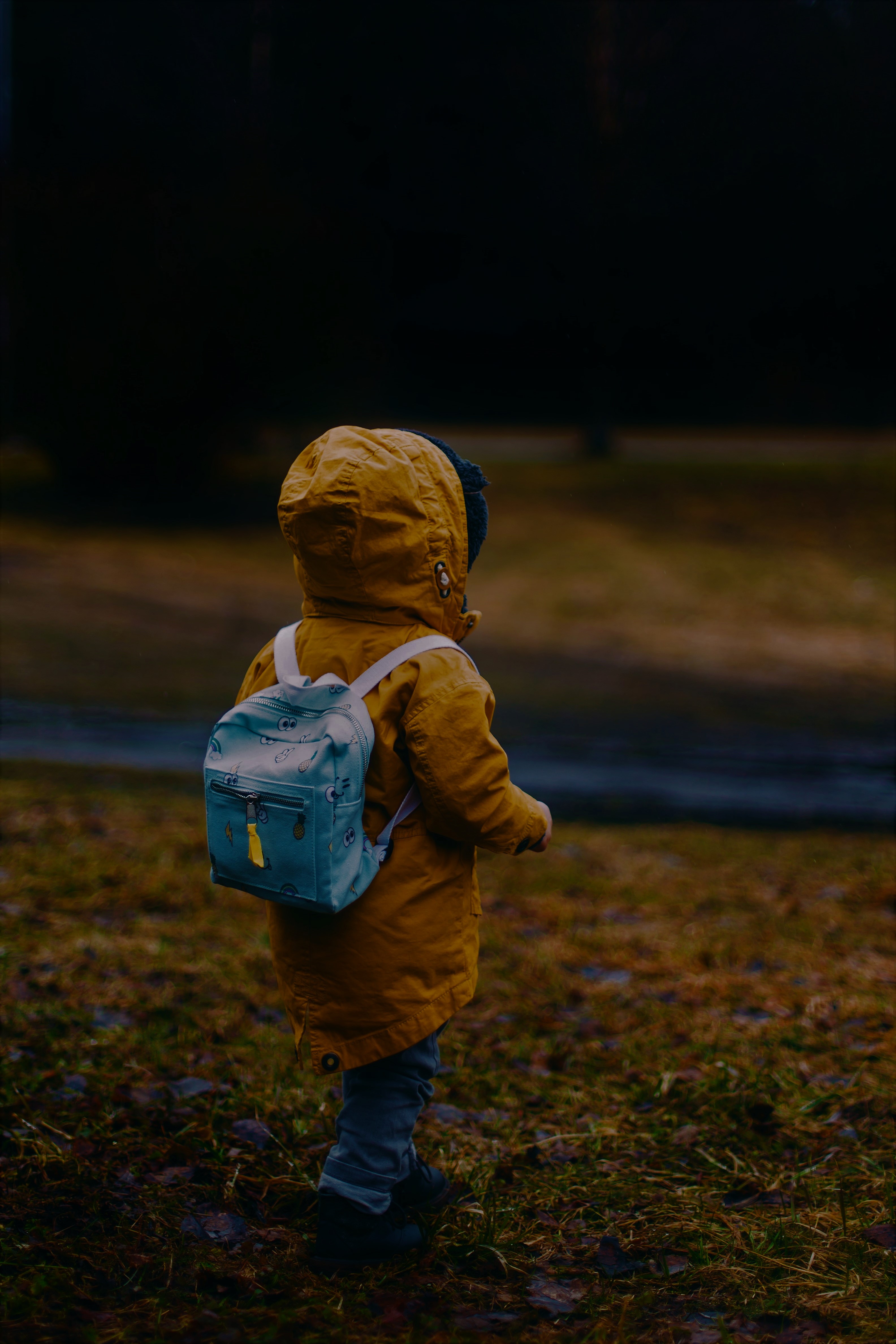 Mawiw Council’s new Jordan’s Principle Case Management system improves ...